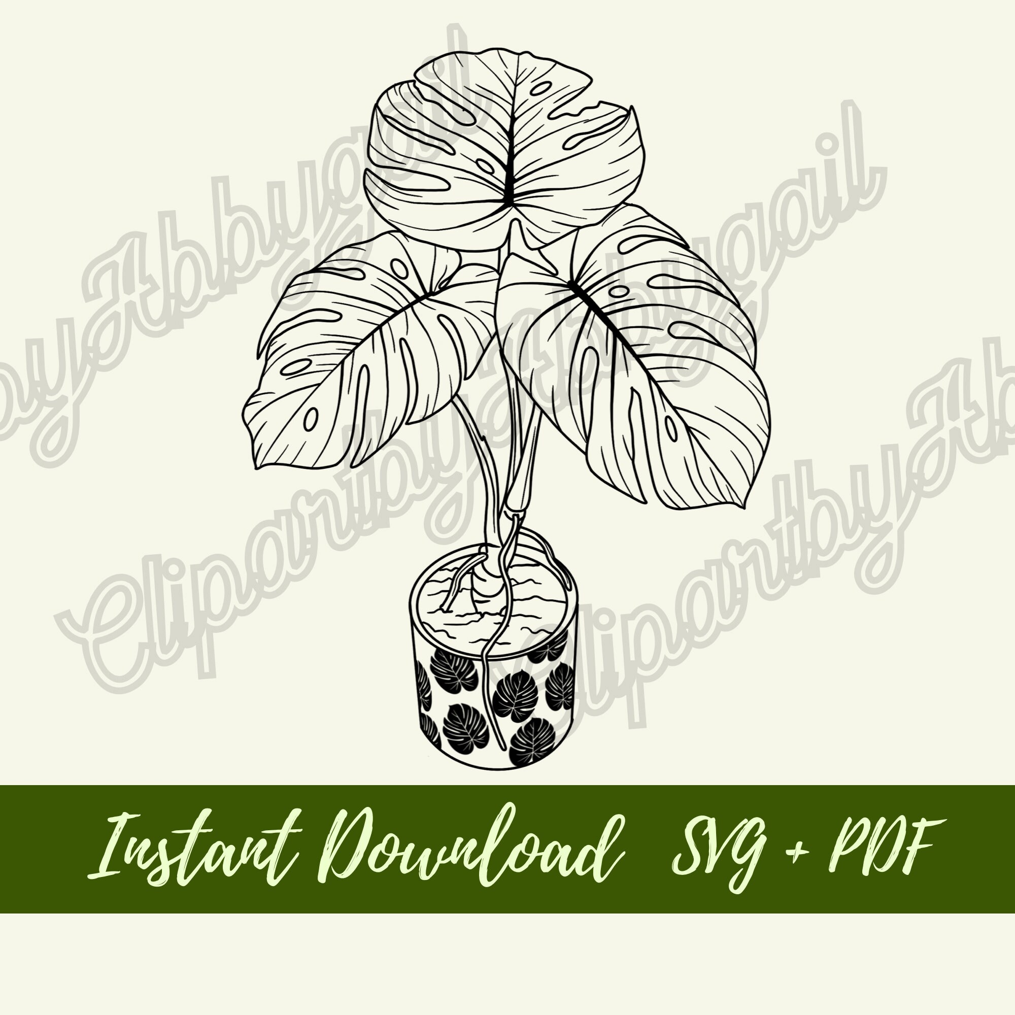 Monstera Plant Svg | Plant Svg | House Plant Clipart | Botanical Svg ...