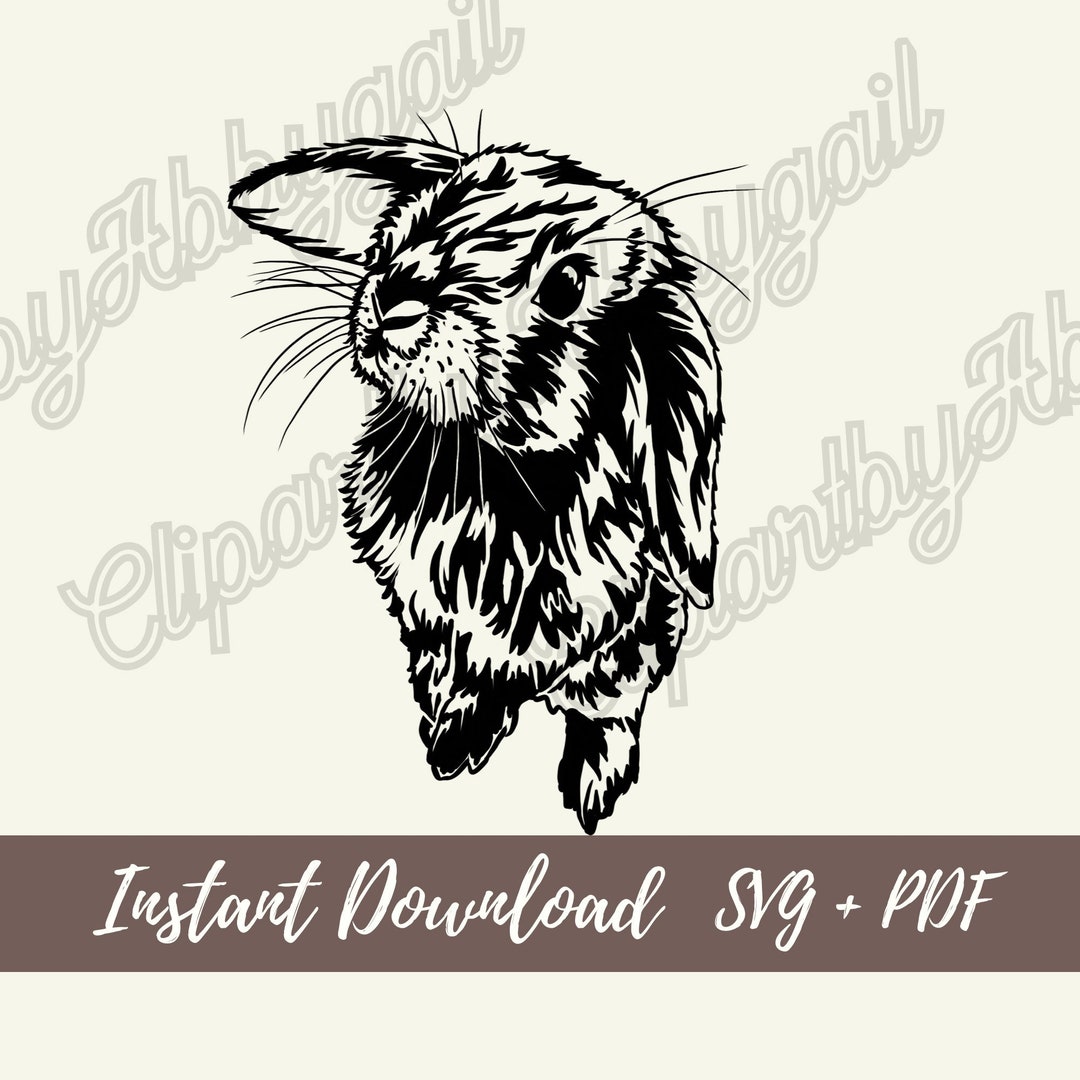Fluffy Bunny Svg | Bunny Svg | Rabbit Clipart | Baby Bunny Svg | Spring ...