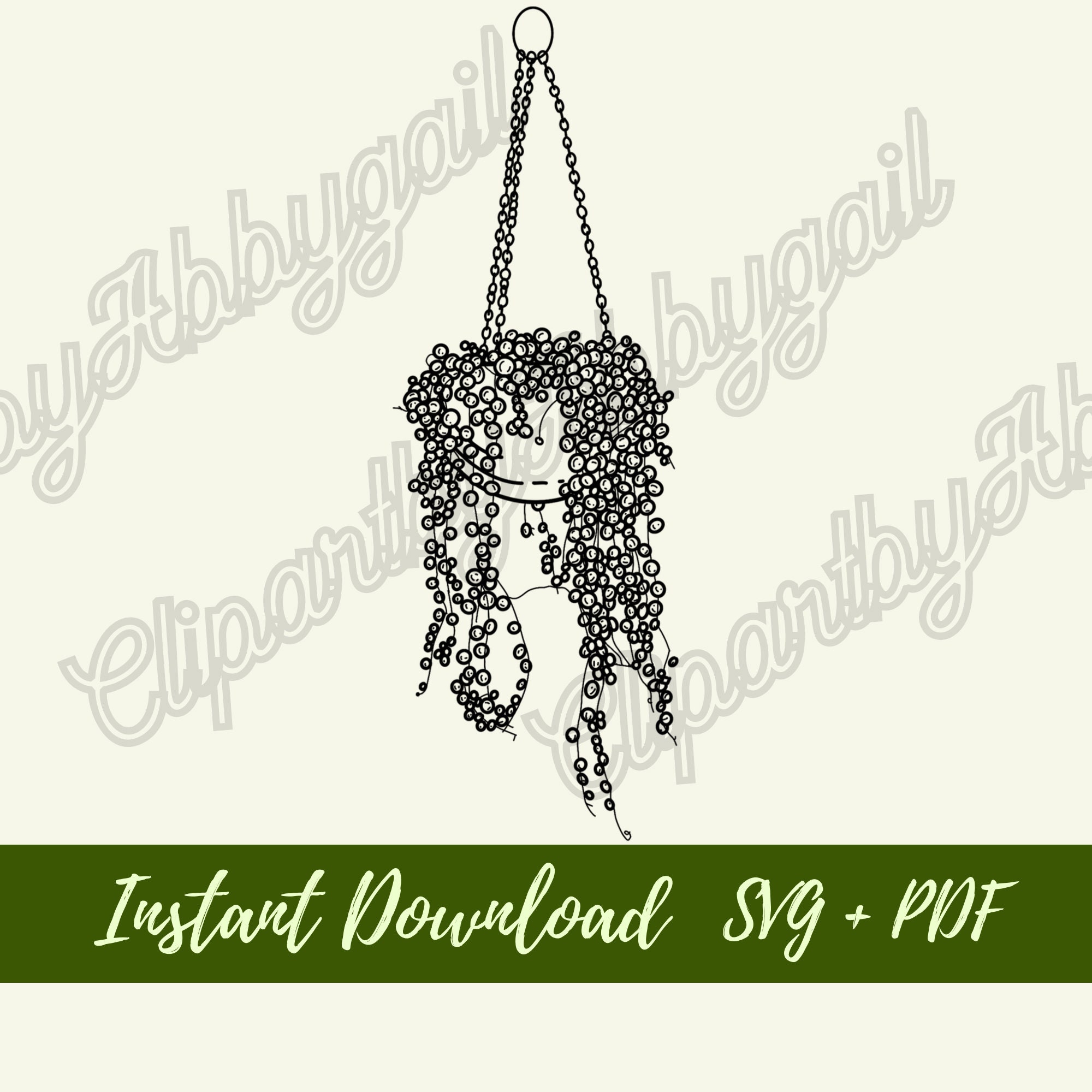 String of Pearl Plant Svg | Plant Svg | Plant Clipart | Botanical Svg ...
