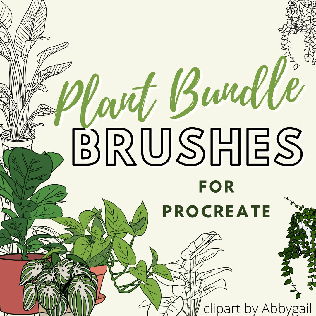 Procreate Plant Bundle Brush Set | Procreate Sketch Brush | House Plant ...