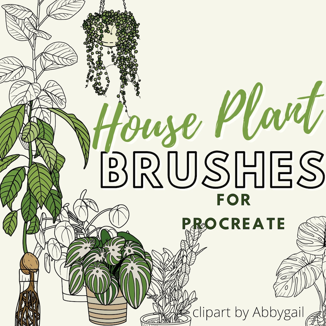 Procreate Plant Brush | Procreate Sketch Brush | House Plant Stamp ...