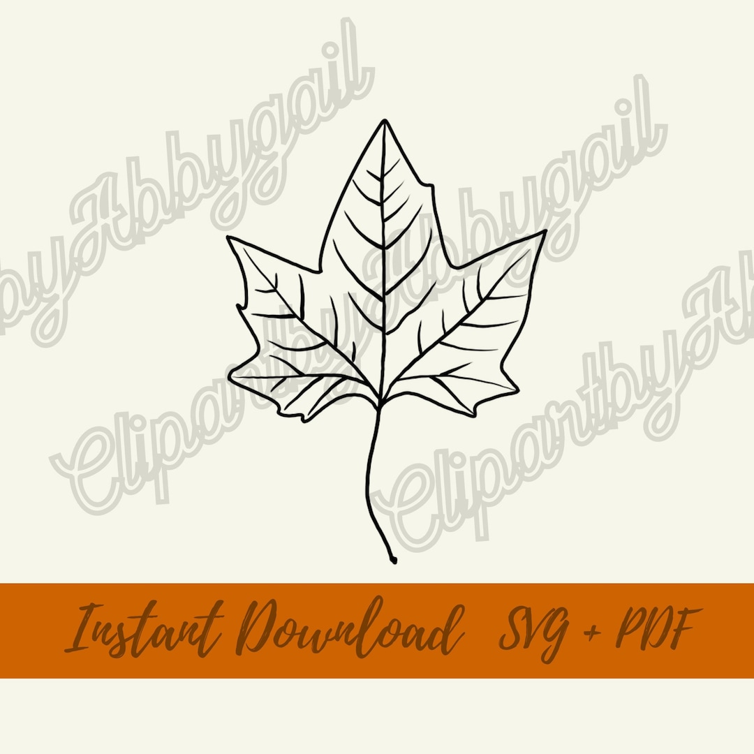 Maple Leaf Svg | Fall Svg | Thanksgiving Svg | Autumn Leaves Svg ...