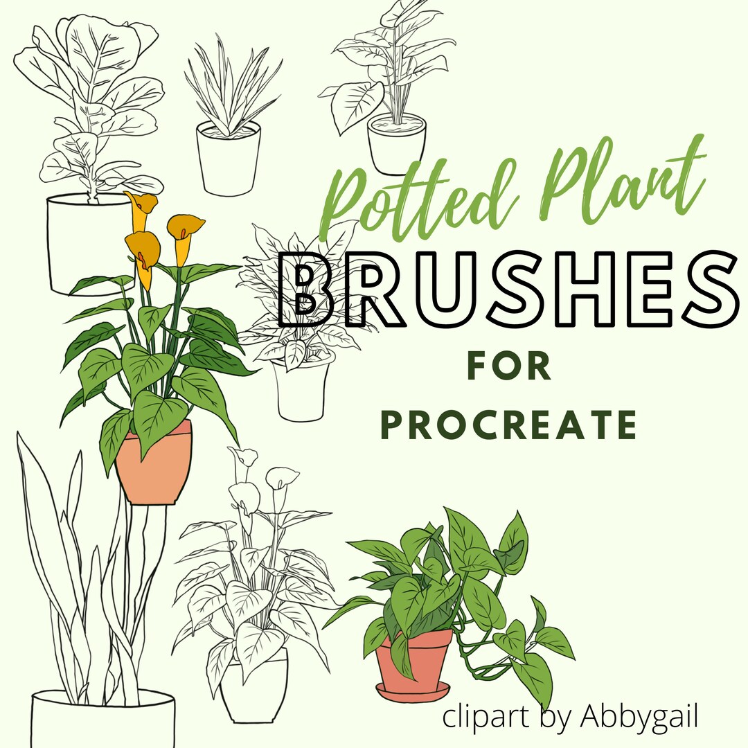 Procreate Plant Brush | Procreate Sketch Brush | House Plant Stamp ...