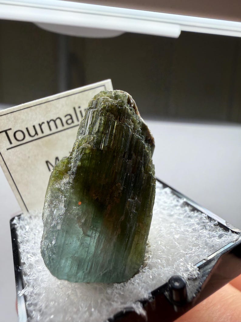 Maine Bi-color Tourmaline, Mt. Mica, Paris Hill, Maine, United States ...
