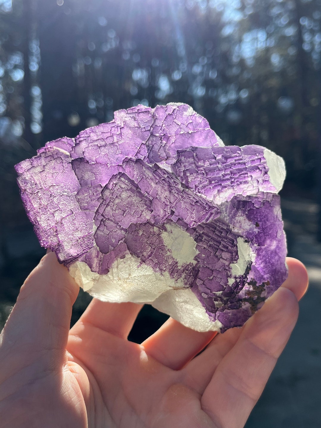 New Mexico Purple and Green Stepped Bicolor Fluorite, Ice Cream Igloo ...