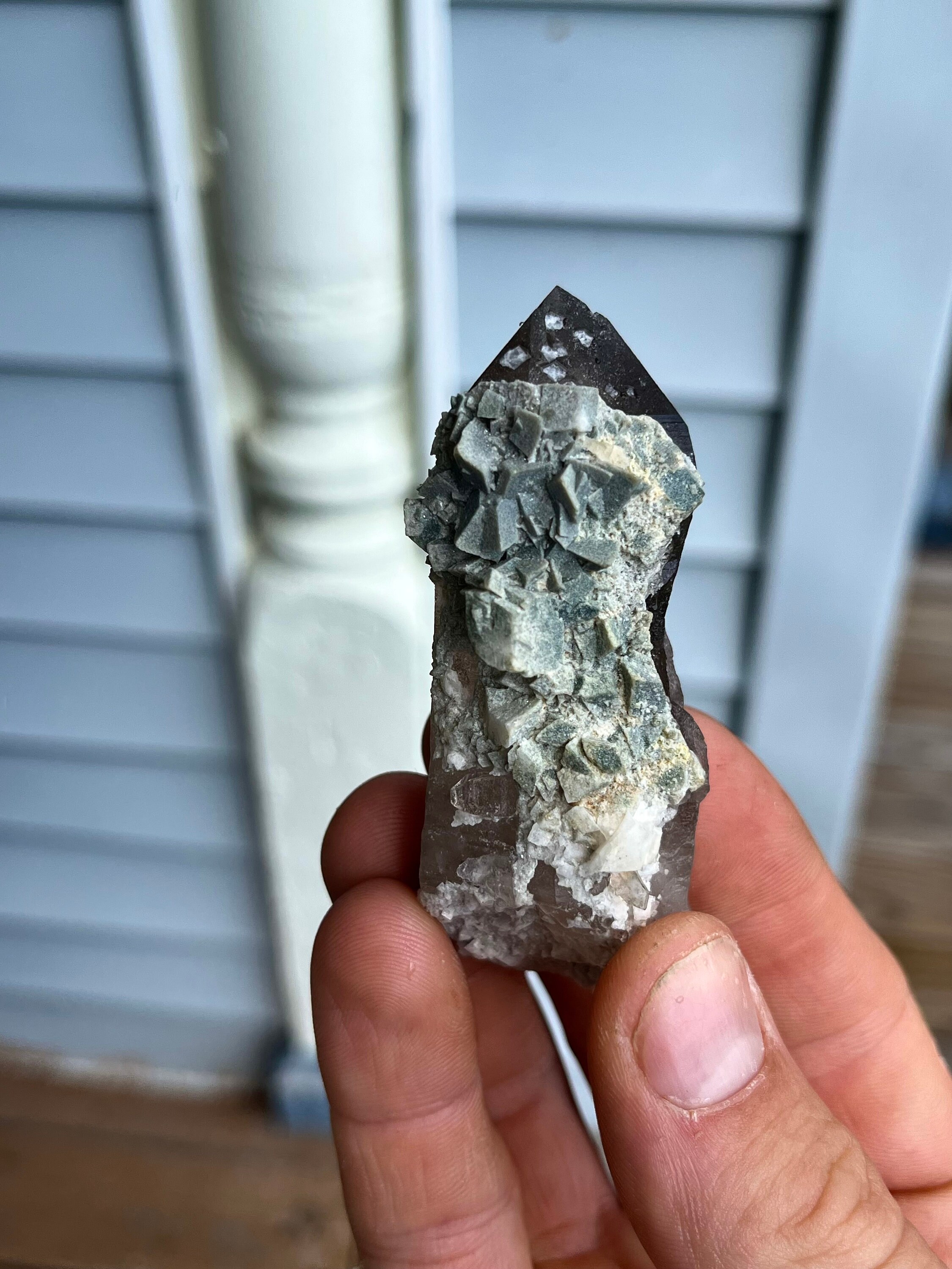 CA, USA, Top Quality Gemmy Smoky Quartz With Chlorite Coated Adularia ...