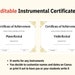 EDITABLE Music Recital Certificate I Instruments Award Certificate ...