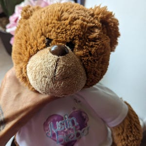 Vintage Rare Justin Bieber Teddy Bear Backpack Stuffed Backpack - Etsy