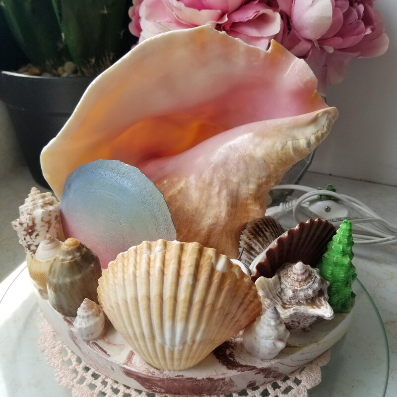 Conch Shell Lamp - Etsy