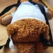 Vintage Rare Justin Bieber Teddy Bear Backpack Stuffed Backpack - Etsy