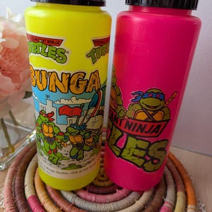 Vintage CHOOSE Teenage Mutant Ninja Turtles TMNT Pink Neon Water Bottle ...