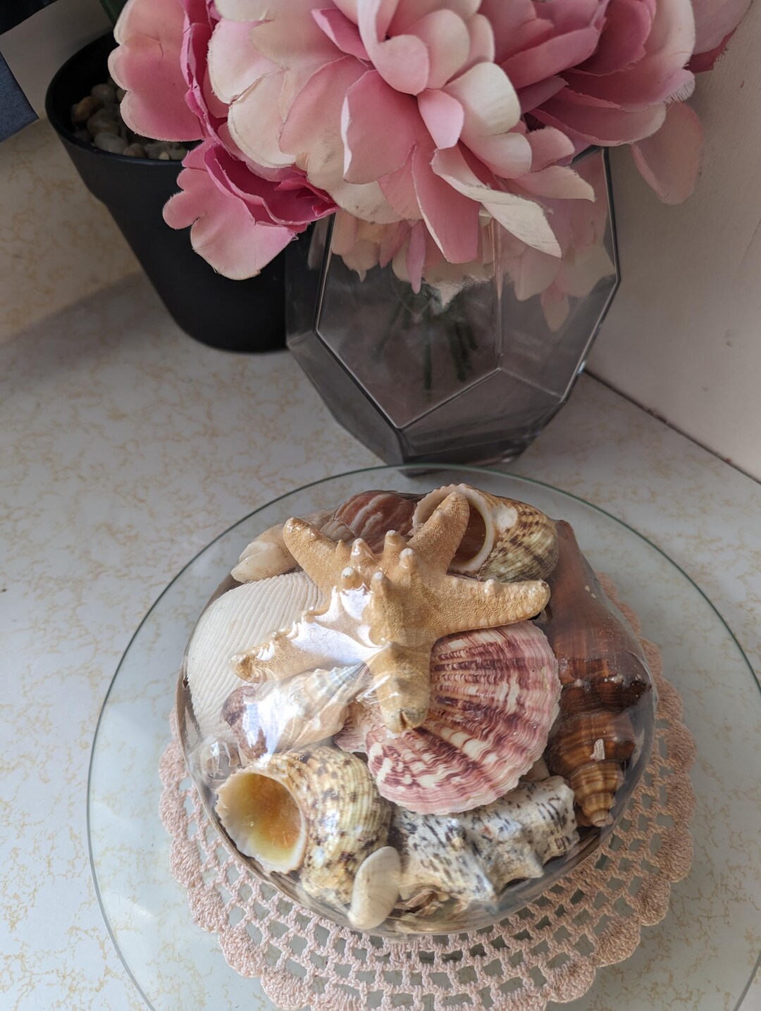 Shells SET, Sea Set, Sea Shells, Treasure Set, Natural Seashells ...
