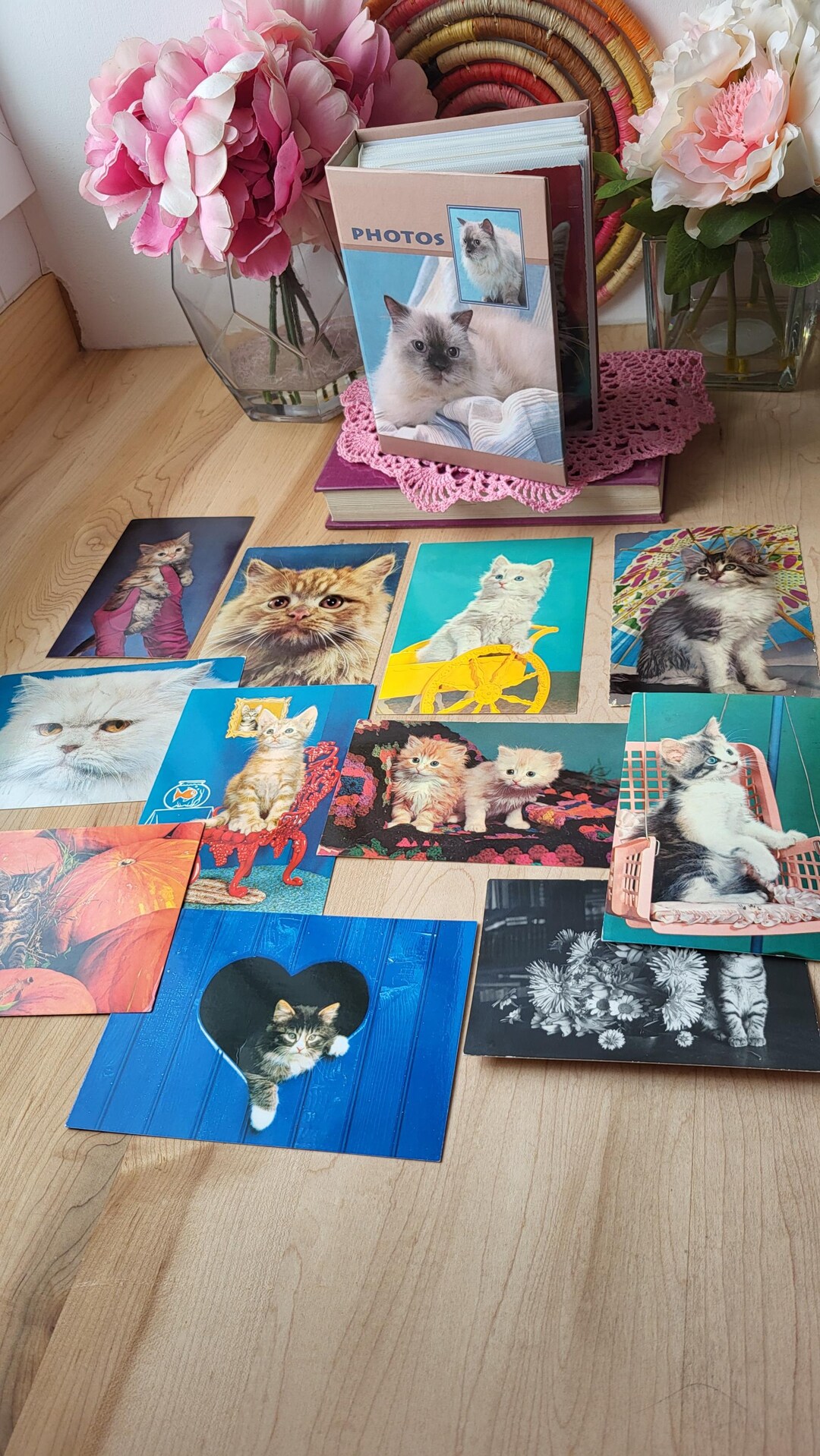 Vintage Cat Photo Album With 50 Postal Cards With Cat Pictures Inside ...