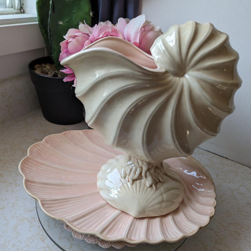 Conch Shell Planter - Etsy