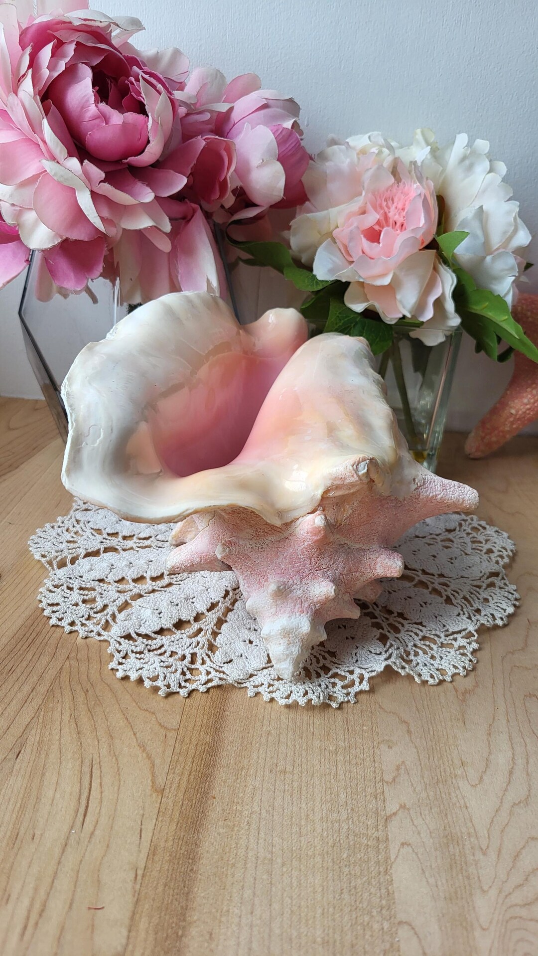 Vintage 8" All Pink Florida Conch Shell Rare Extra Polished Conch Shell ...