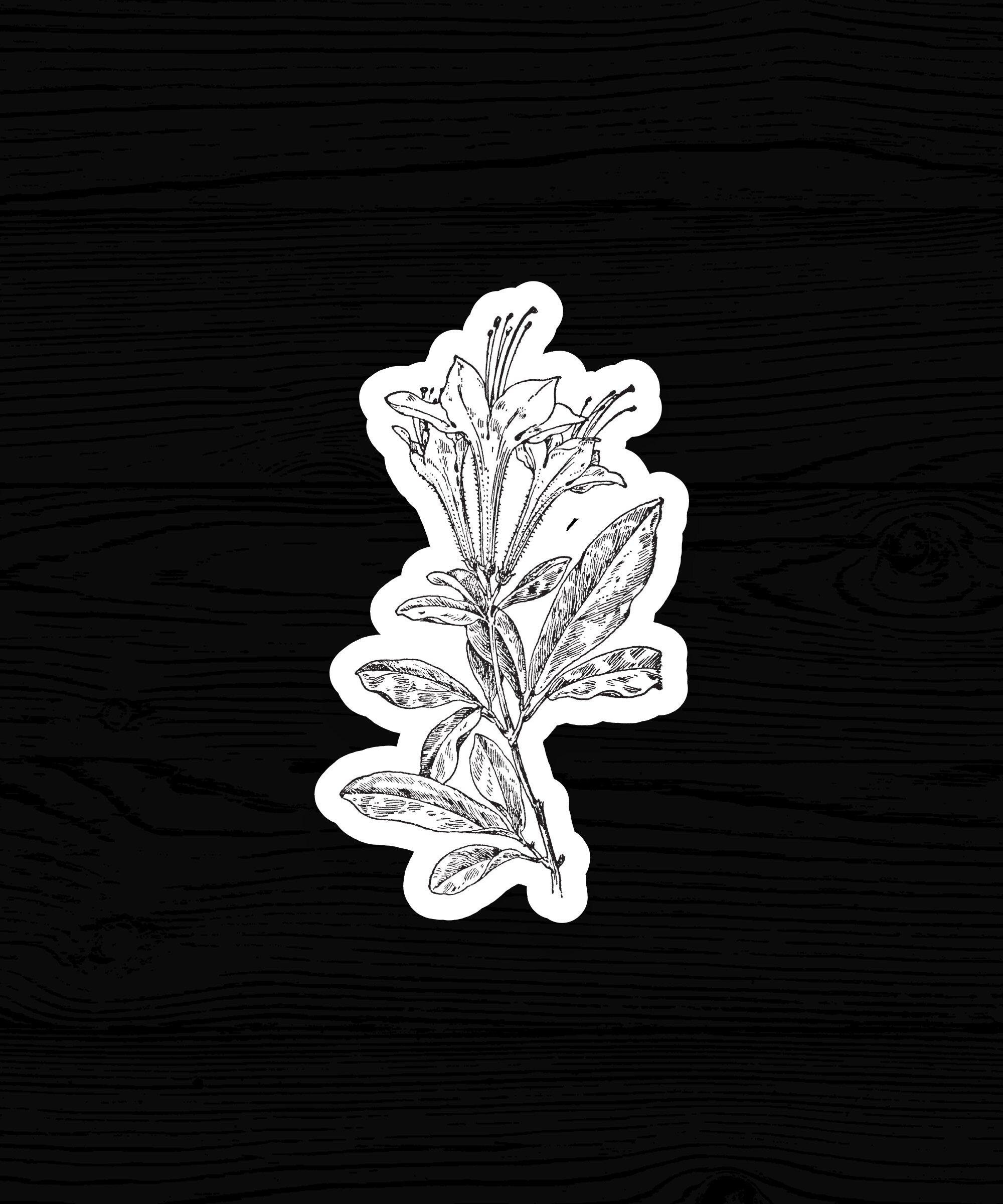 June Birth Month Flower Sticker Decal Honeysuckle Birthday Cute Bumper ...