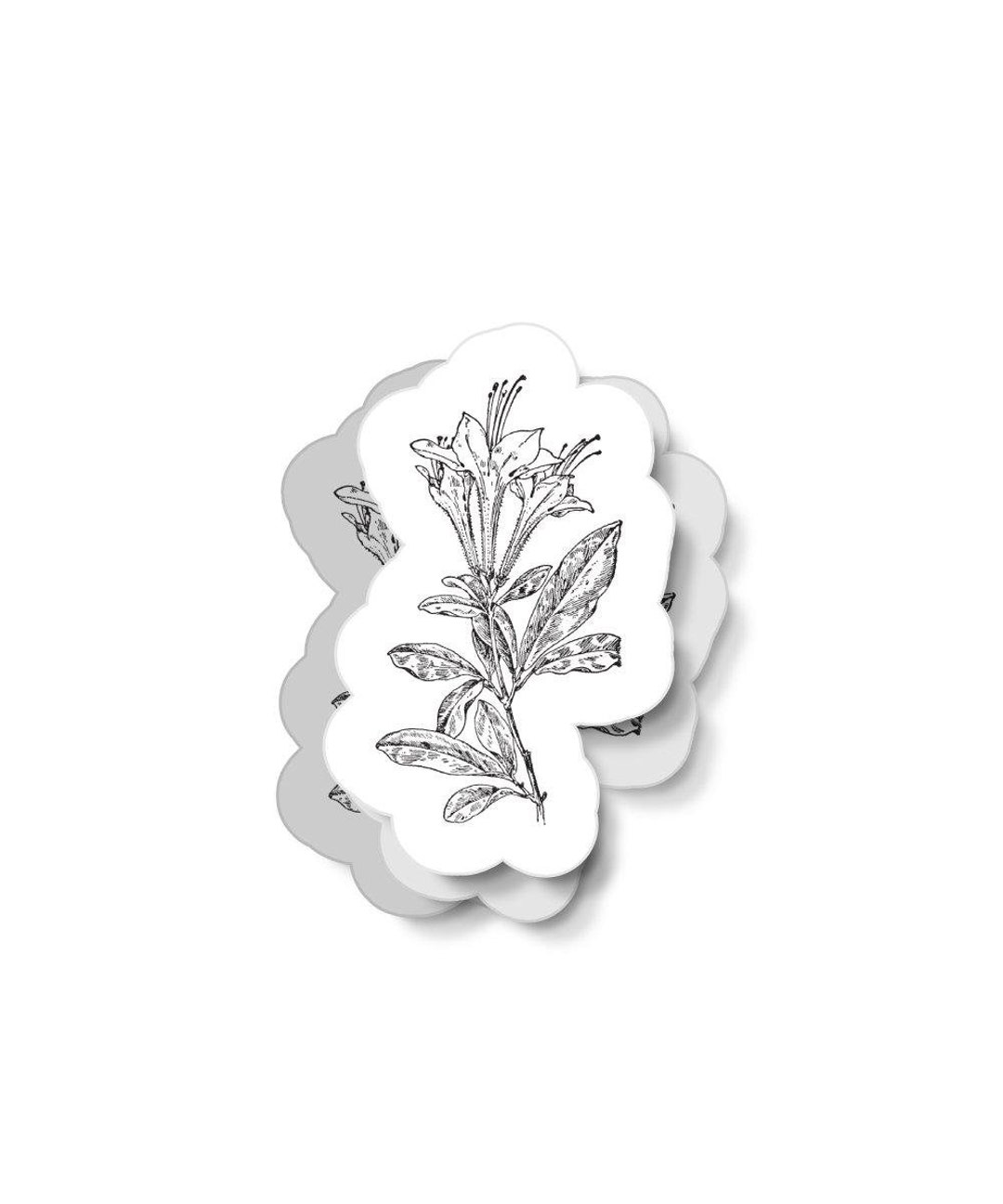 June Birth Month Flower Sticker Decal Honeysuckle Birthday Cute Bumper ...