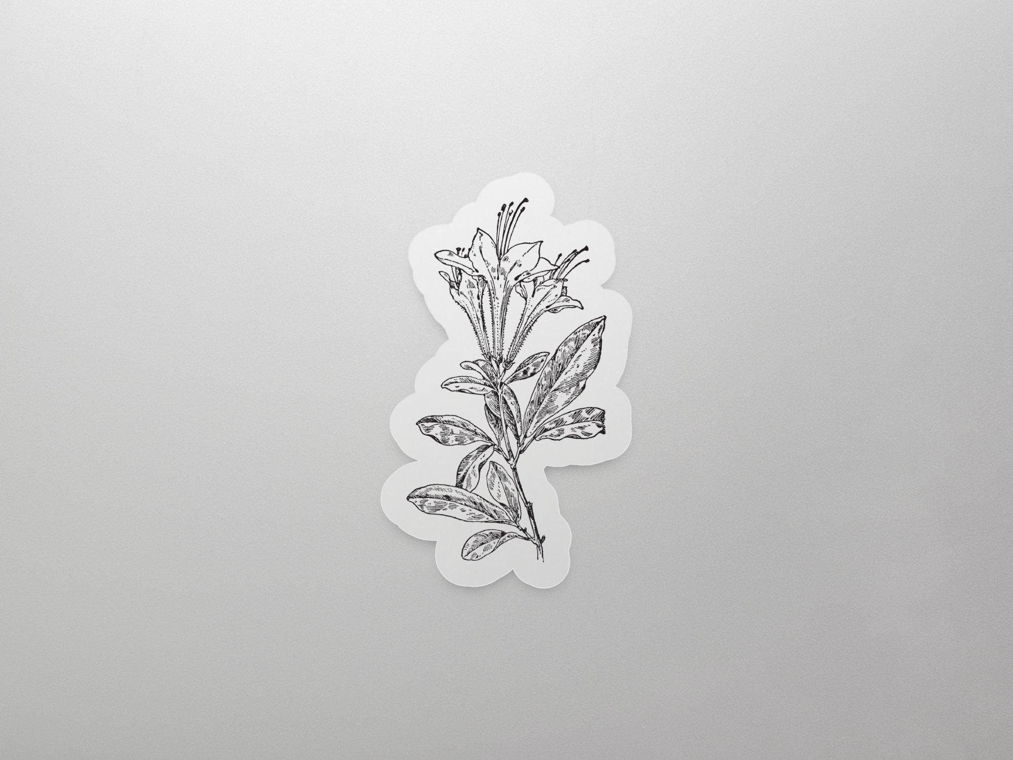 June Birth Month Flower Sticker Decal Honeysuckle Birthday Cute Bumper ...