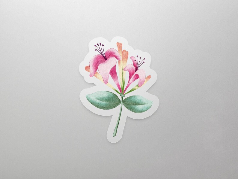June Birth Month Flower Sticker Decal Honeysuckle Birthday - Etsy