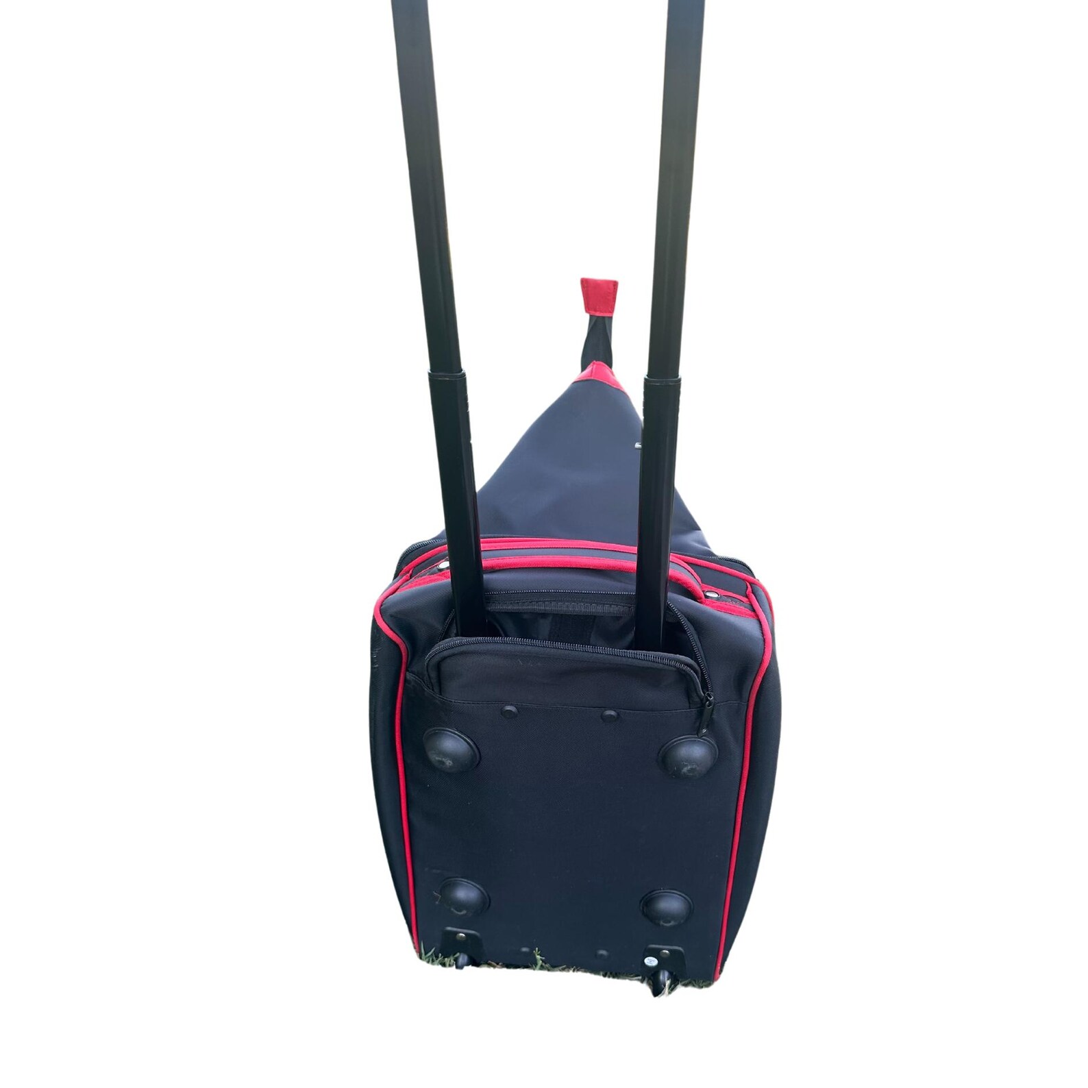 Delta Sigma Theta Pilot Bag: Wheeled Travel Luggage - Etsy