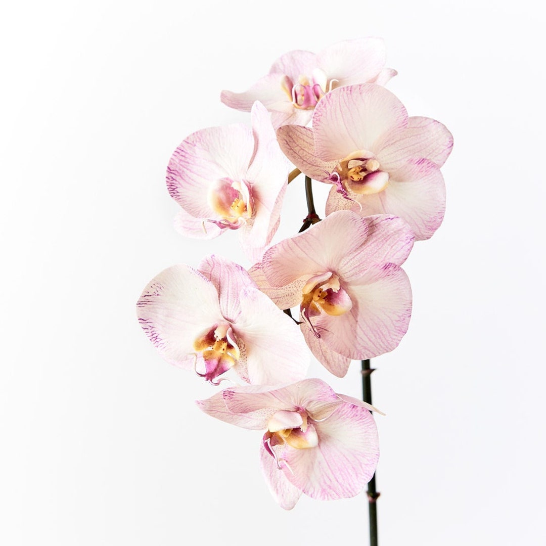 Artificial Fake Faux Real Touch Orchid Stem Phalaenopsis Lavander 86cm ...