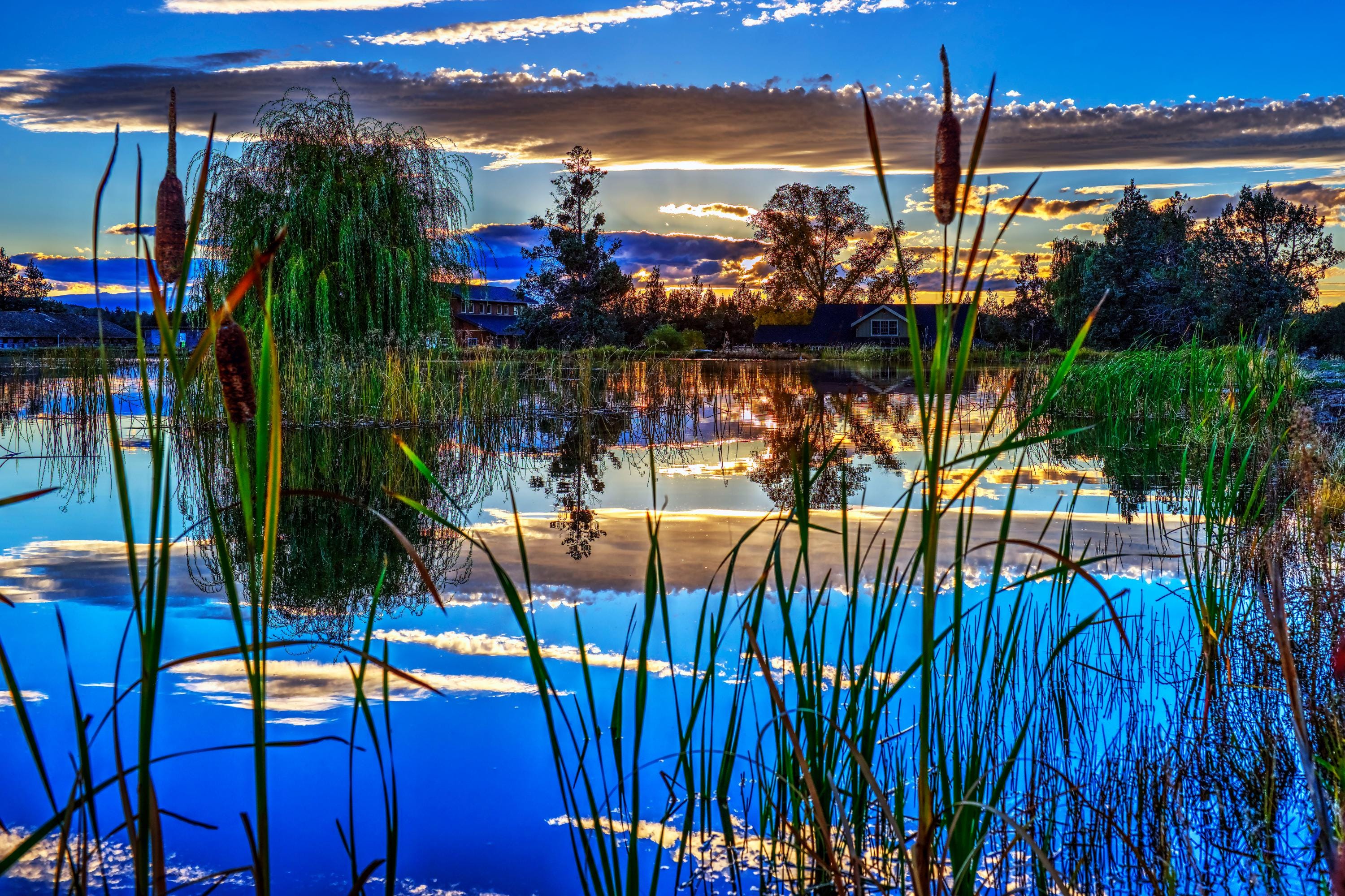 Clear Pond Reflect Sky Mirror on Water - Etsy