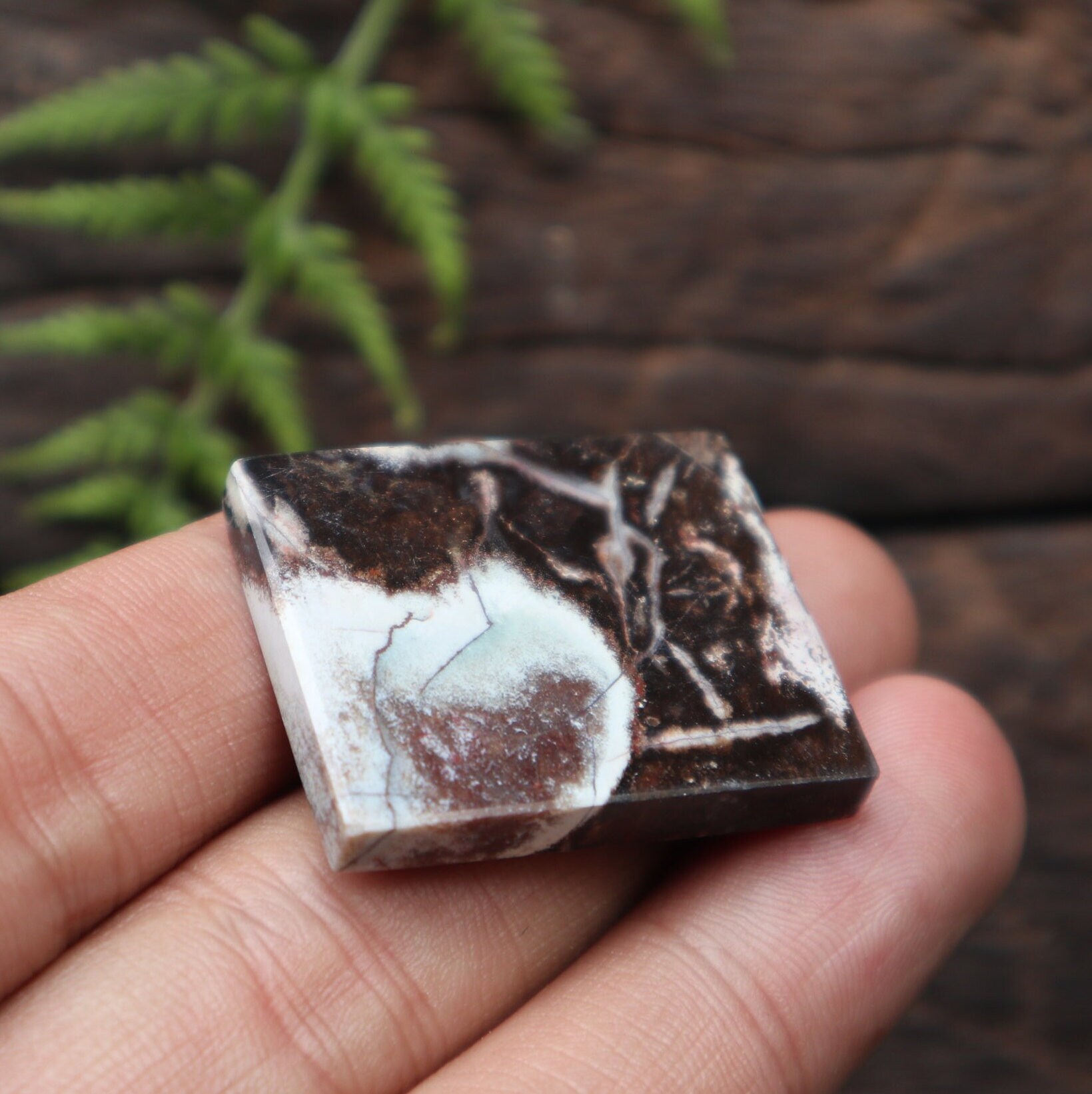 Opalized Petrified Wood Jasper,mohs Scales of Mineral Hardness,agate ...