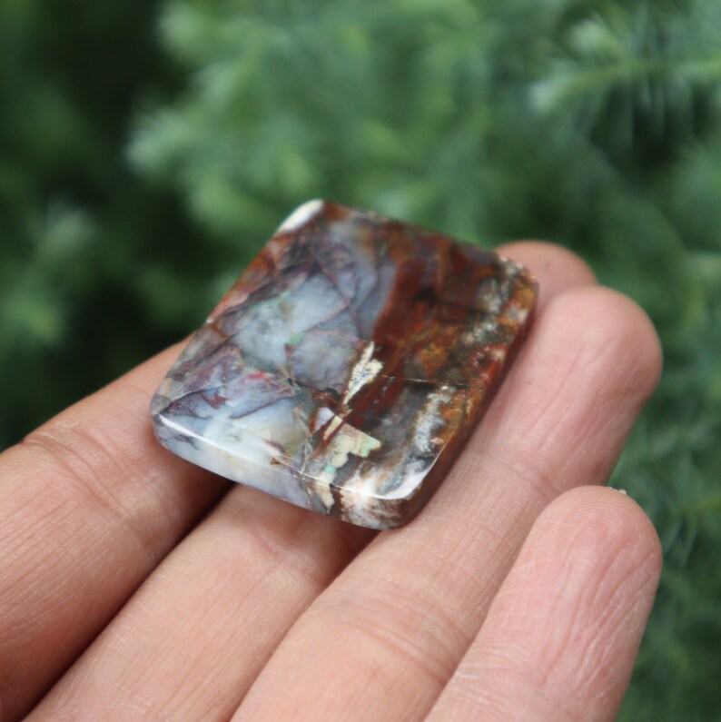 Blue Opalized Petrified Wood,mohs Scales of Mineral Hardness,agate ...