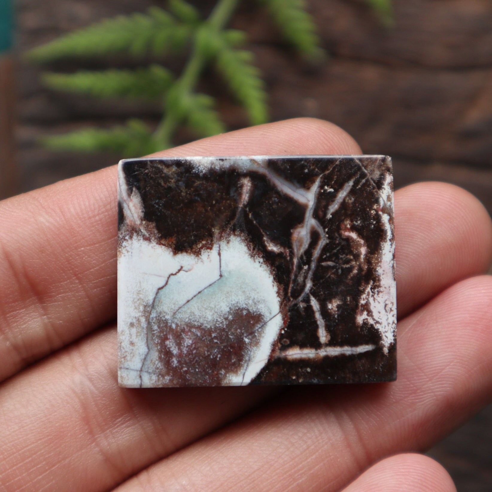 Opalized Petrified Wood Jasper,mohs Scales of Mineral Hardness,agate ...