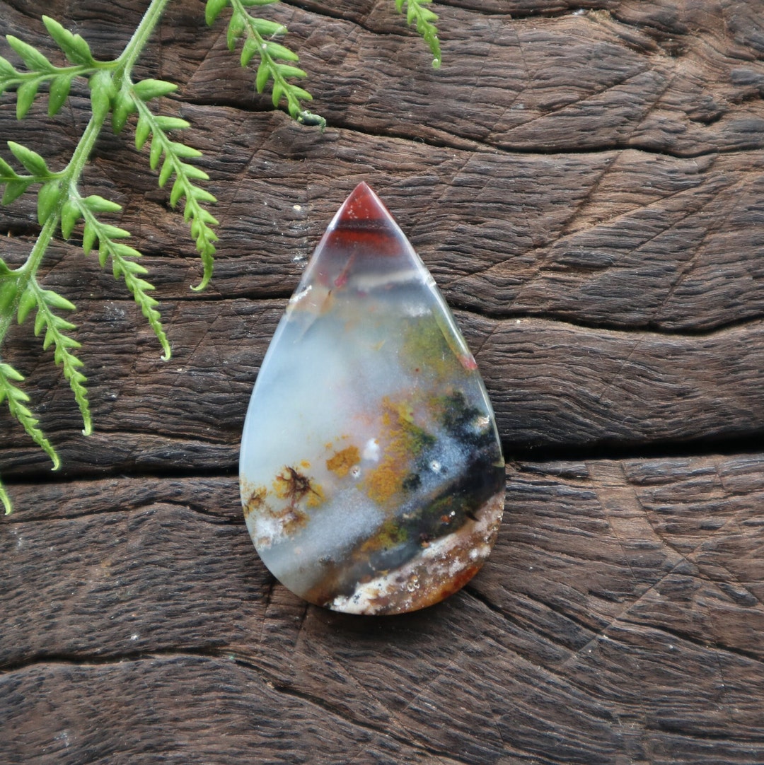 Opalized Petrified Wood,mohs Scales of Mineral Hardness,agate Gemstone ...