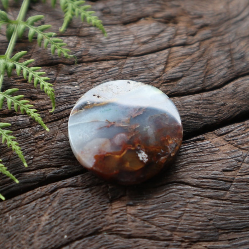 Round Opalized Petrified Wood,mohs Scales of Mineral Hardness,agate ...