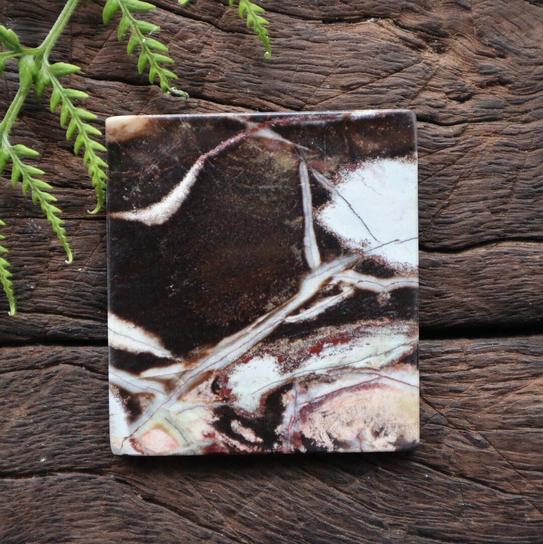 Extremely Rare Opalized Petrified Wood Jasper,mohs Scales of Mineral ...