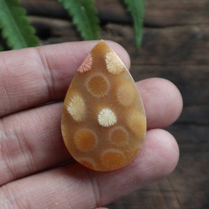 Coral Agate,mohs Scales of Mineral Hardness,agate Gemstone,flower Agate ...