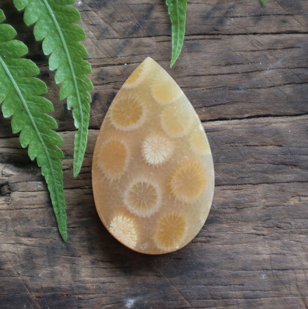 Coral Agate,mohs Scales of Mineral Hardness,agate Gemstone,flower Agate ...