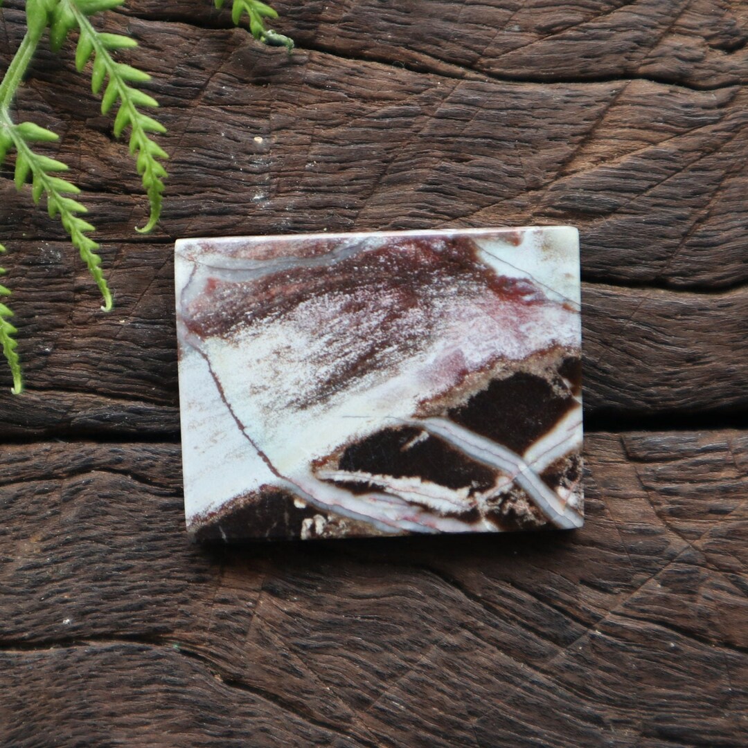 Opalized Petrified Wood Jasper,mohs Scales of Mineral Hardness,agate ...