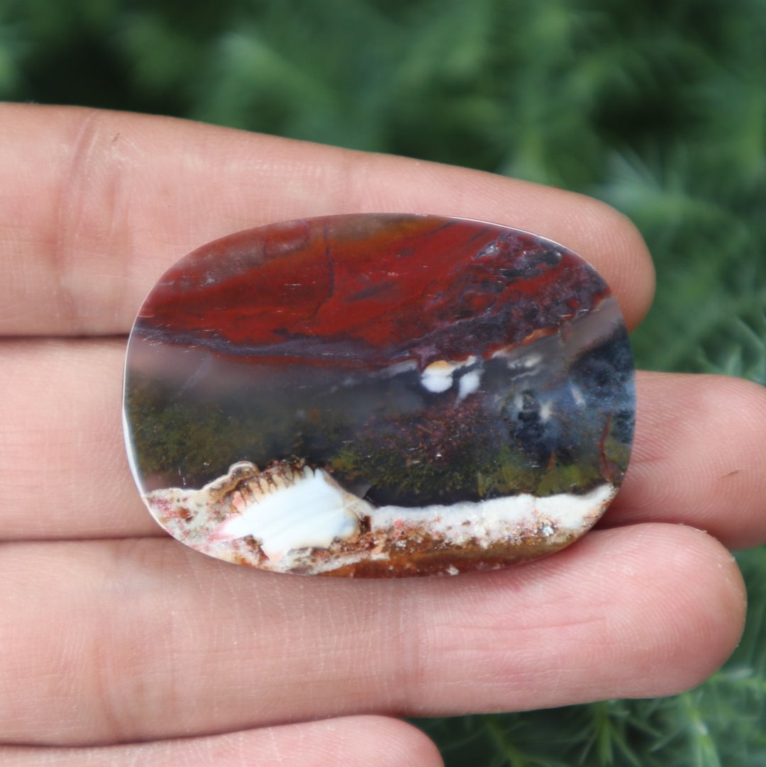 Blue Opalized Petrified Wood,mohs Scales of Mineral Hardness,agate ...