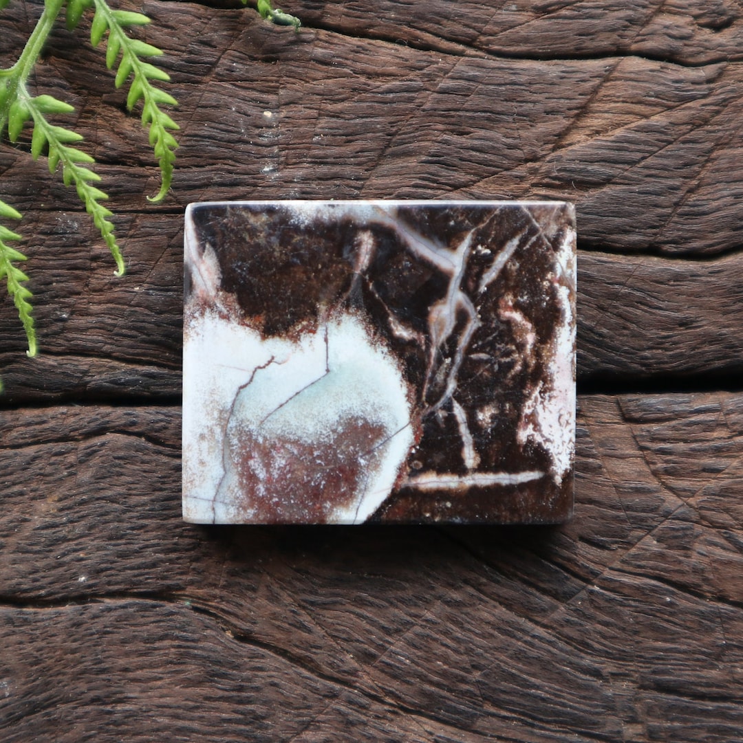 Opalized Petrified Wood Jasper,mohs Scales of Mineral Hardness,agate ...