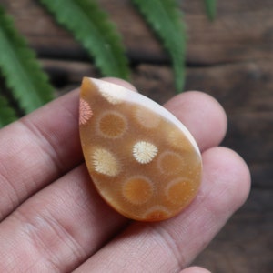 Coral Agate,mohs Scales of Mineral Hardness,agate Gemstone,flower Agate ...