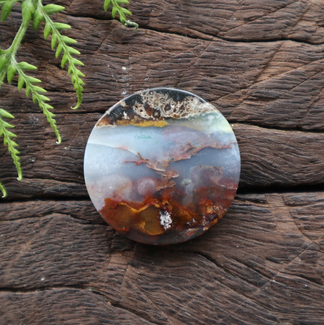 Round Opalized Petrified Wood,mohs Scales of Mineral Hardness,agate ...