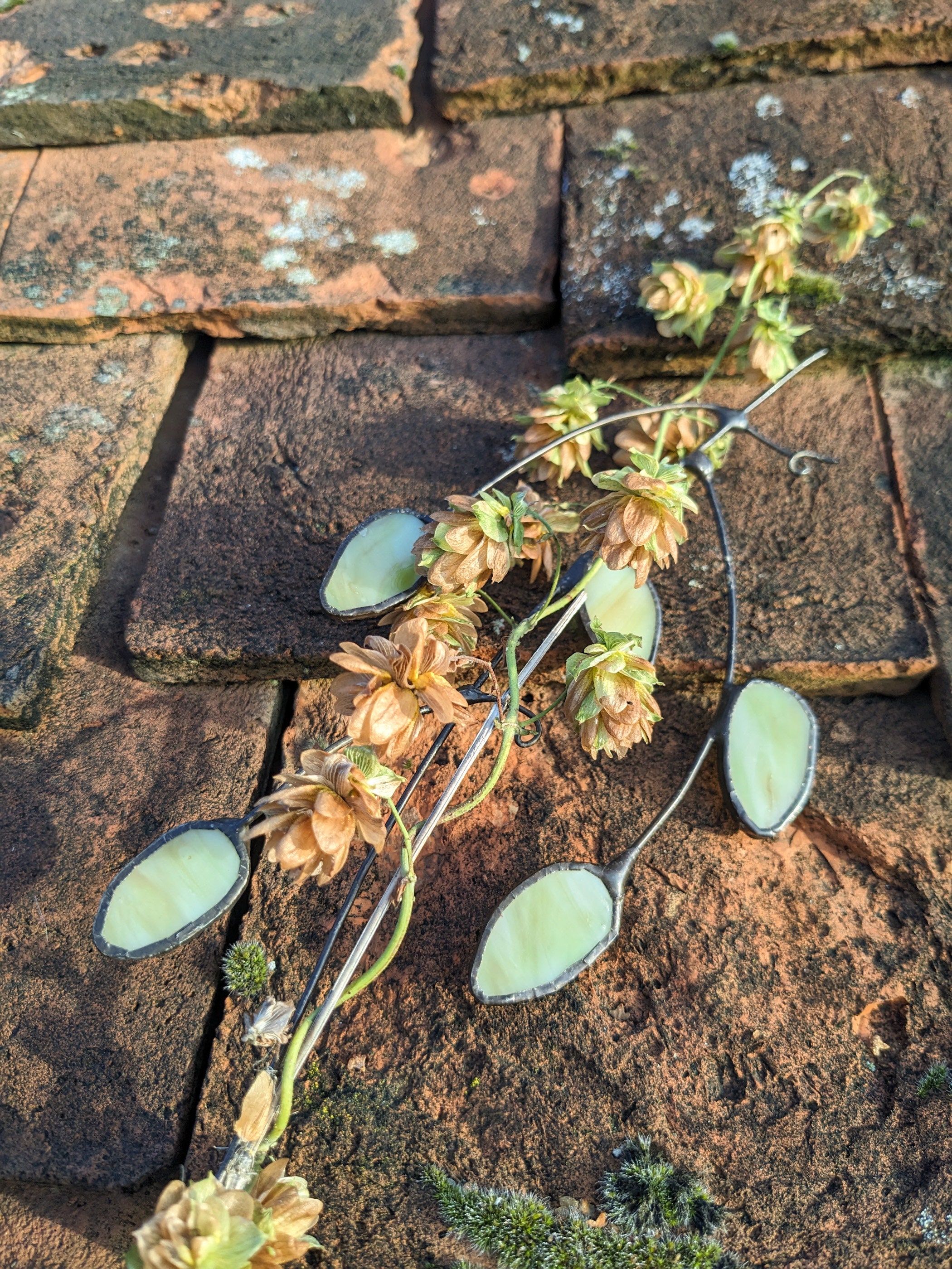 Stained Glass Hop Vine, Tiffany Suncatcher, Hop Spray, Dried Flower ...