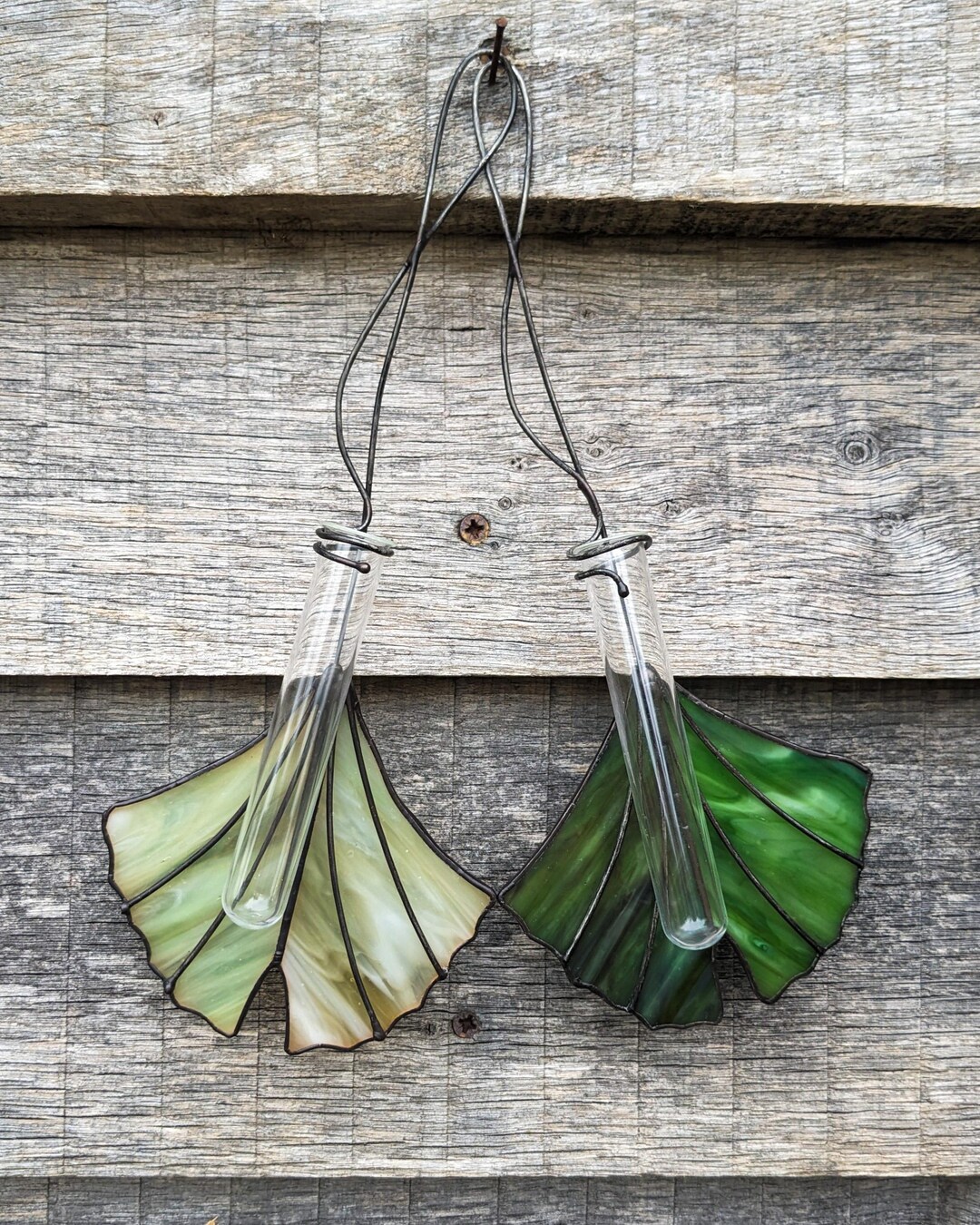 Stained Glass Propagation Station (ginkgo Biloba Leaf) in Choice of ...