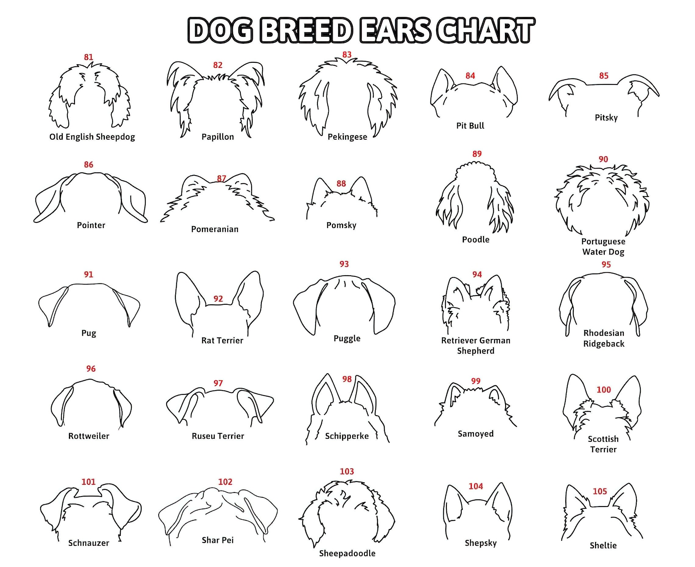 Custom Dog Ear Memorial Sign, Dog Ear Framed Art, Framed Dog Ear Line ...