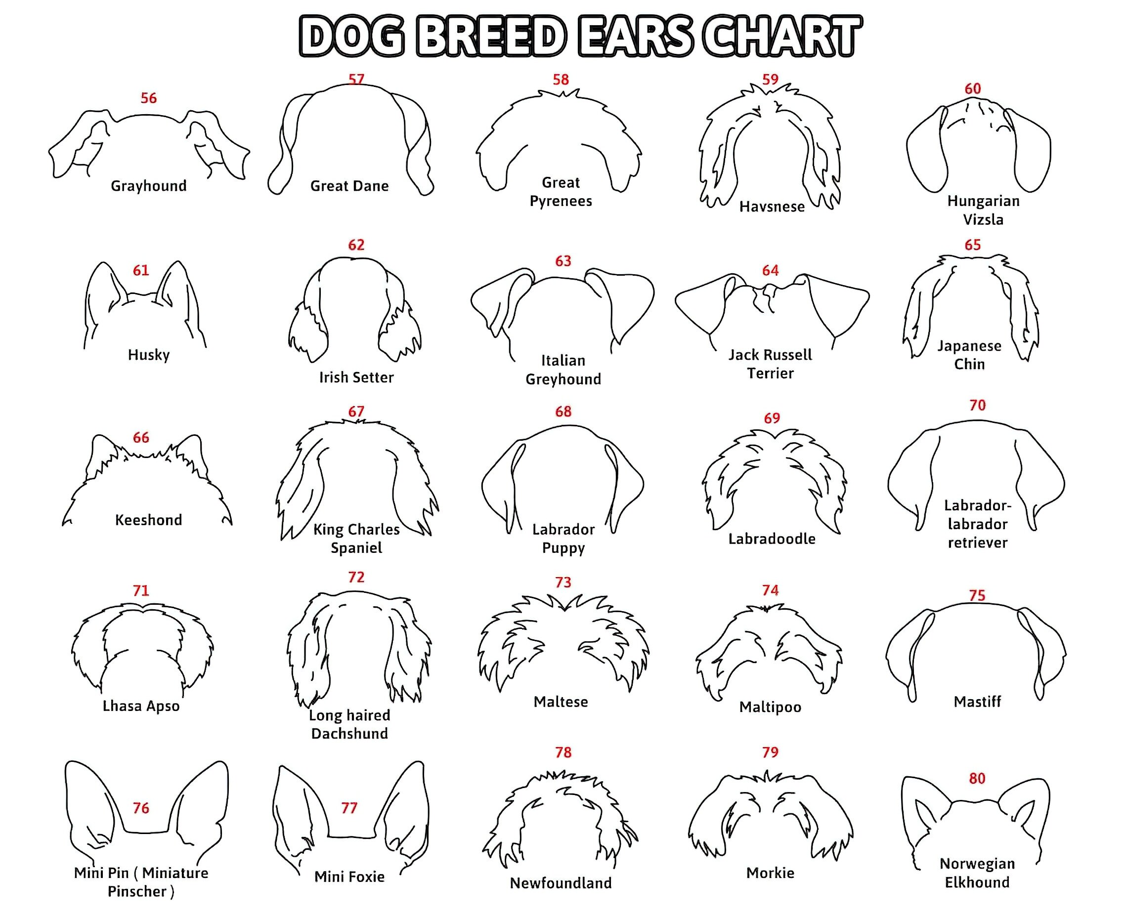 Custom Dog Ear Memorial Sign, Dog Ear Framed Art, Framed Dog Ear Line ...