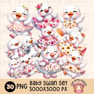 30 PNG Whimsical Baby Swans Clip Art Set | Cute Watercolor Graphics ...