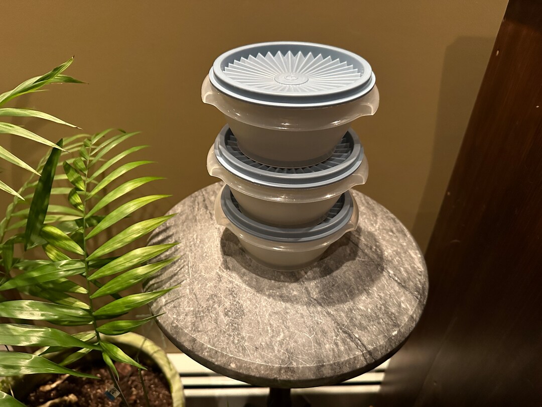 TUPPERWARE Semi-transparent Stacking Storage Containers With Blue Lids ...