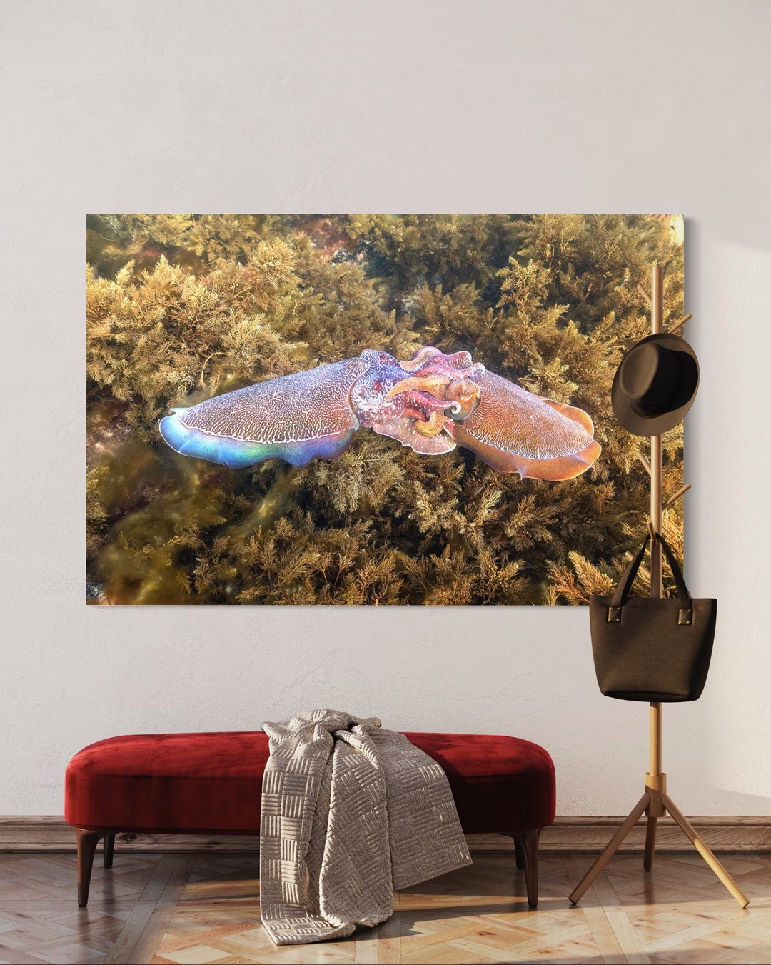 Australian Giant Cuttlefish Underwater Diving Freediving Canvas Wall ...