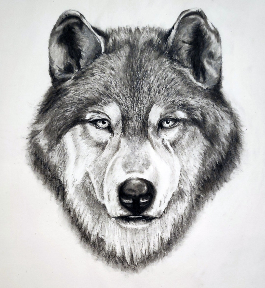 Hand-drawn Animals in Charcoal Digital Prints - Etsy
