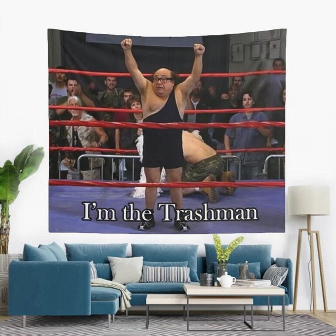 Danny Devito Trashman Tapesty Aesthetic the Trash Man Lag - Etsy