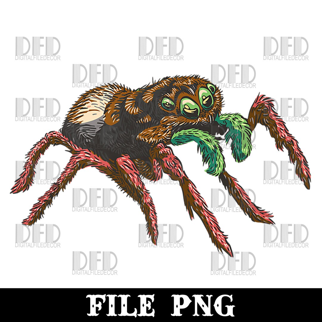 Jumping Spider Png Digital Download - Etsy