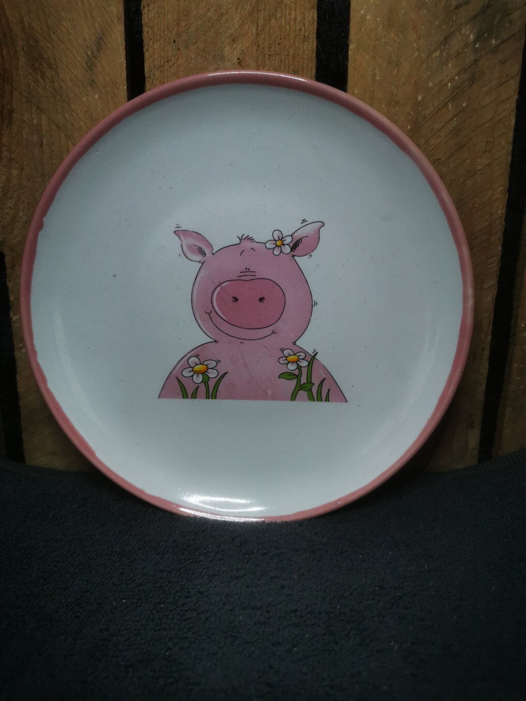 Ethos Ceramic Plate Pig Design - Etsy